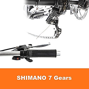 DWMEIGI 3 Wheel Electric Bike for Adult with 750W Motor, 48V 18.2AH Removable Lithium Battery, 20"*4.0 Fat Tire Tricycles for Men Women with Front & Rear Baskets, 7 Speed (Black)