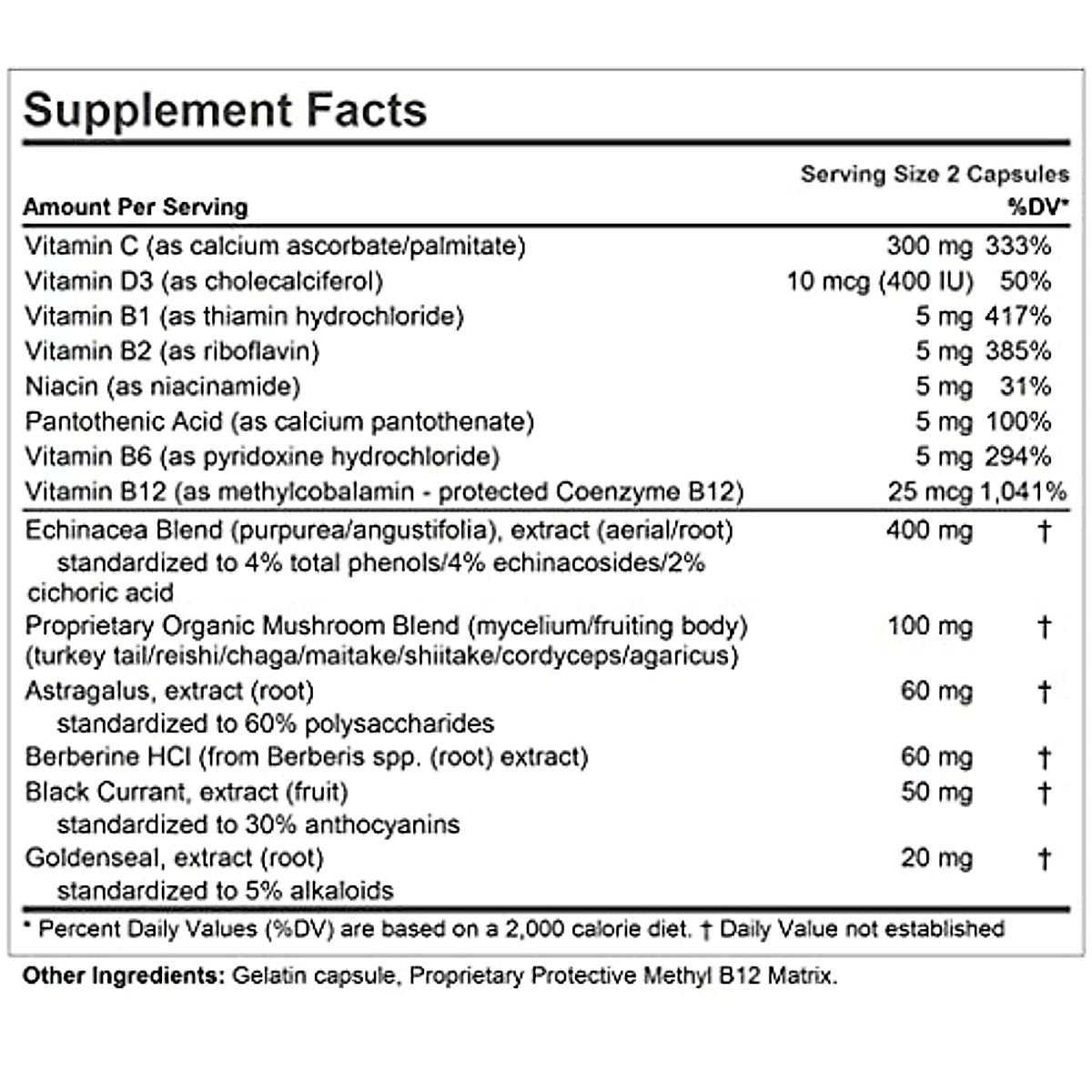 Andrew Lessman Immune Factors 180 Capsules – Echinacea, Goldenseal, Vitamin C, Astragalus, Berberine, Mushroom Blend, Black Currant. Supports and Promotes Immune System and Natural Defenses