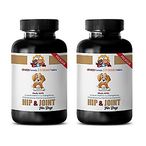 pet Joint Supplement for Dogs - Dog Hip and Joint Support - Premium Formula - Dog Bites Healthy - msm for Pets - 2 Bottle (240 Chews)