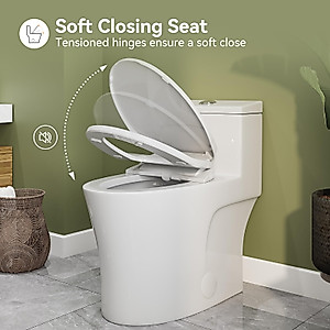 HOROW T0338W One Piece Toilet with Non-Electric Bidet Toilet Seat, Elongated ADA Chair Height Toilets with Adjustable Nozzles Seat, Powerful Dual Flush & Soft Closing Seat Include, MAP 1000g, White