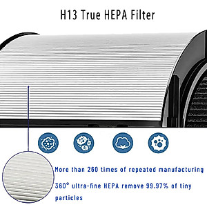 360° Combi Glass 2-in-1 HEPA+Carbon Replacement Filter for Dyson TP07 HP07 TP06 HP06 TP10 HP10 TP09 HP09 TP04 HP04 PH04 PH03 PH02 PH01 Air Purifier, H13 Grade True HEPA Pure Cool Hot Fan Filter, Black
