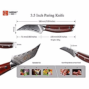 YARENH Bird's Beak Paring Knife - 67-Layer Damascus Steel - Super Sharp Blade for Peeling Fruit - African Sandalwood Handle