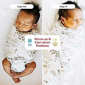 embé 2-Way Starter Baby Swaddle, 6-14 lbs, Newborn Swaddle Sack 0-3 Months, Zip & Velcro Swaddle 0-3 Months Baby Swaddles Wrap, Hip Healthy, Infant Swaddle - Disperse