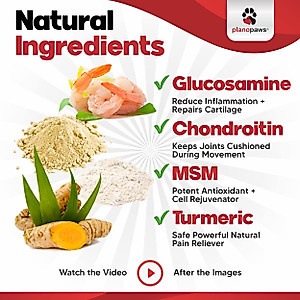 Glucosamine for Dogs Hip and Joint Supplement - Safe Joint Support for Dogs - Dog Joint Supplement with Glucosamine Chondroitin MSM Turmeric - 120 Joint Care Chews for Dogs ActivTreats