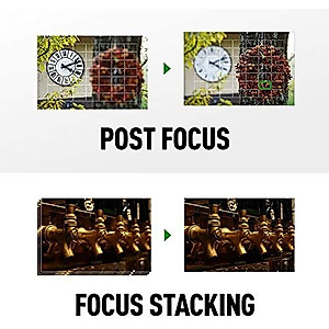 Panasonic LUMIX GH5 4K Mirrorless Camera with Lecia VARIO-Elmarit 12-60mm F2.8-4.0 Lens (DC-GH5LK)