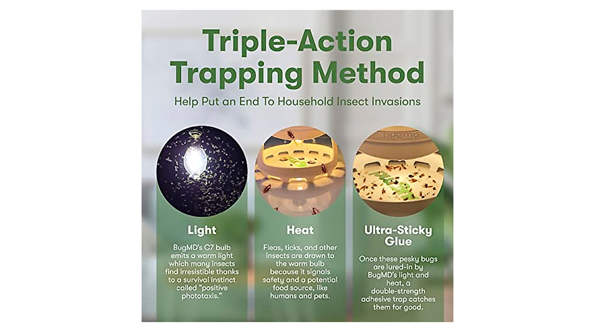 BugMD Termination Station: Effective Pest Trap & Catcher