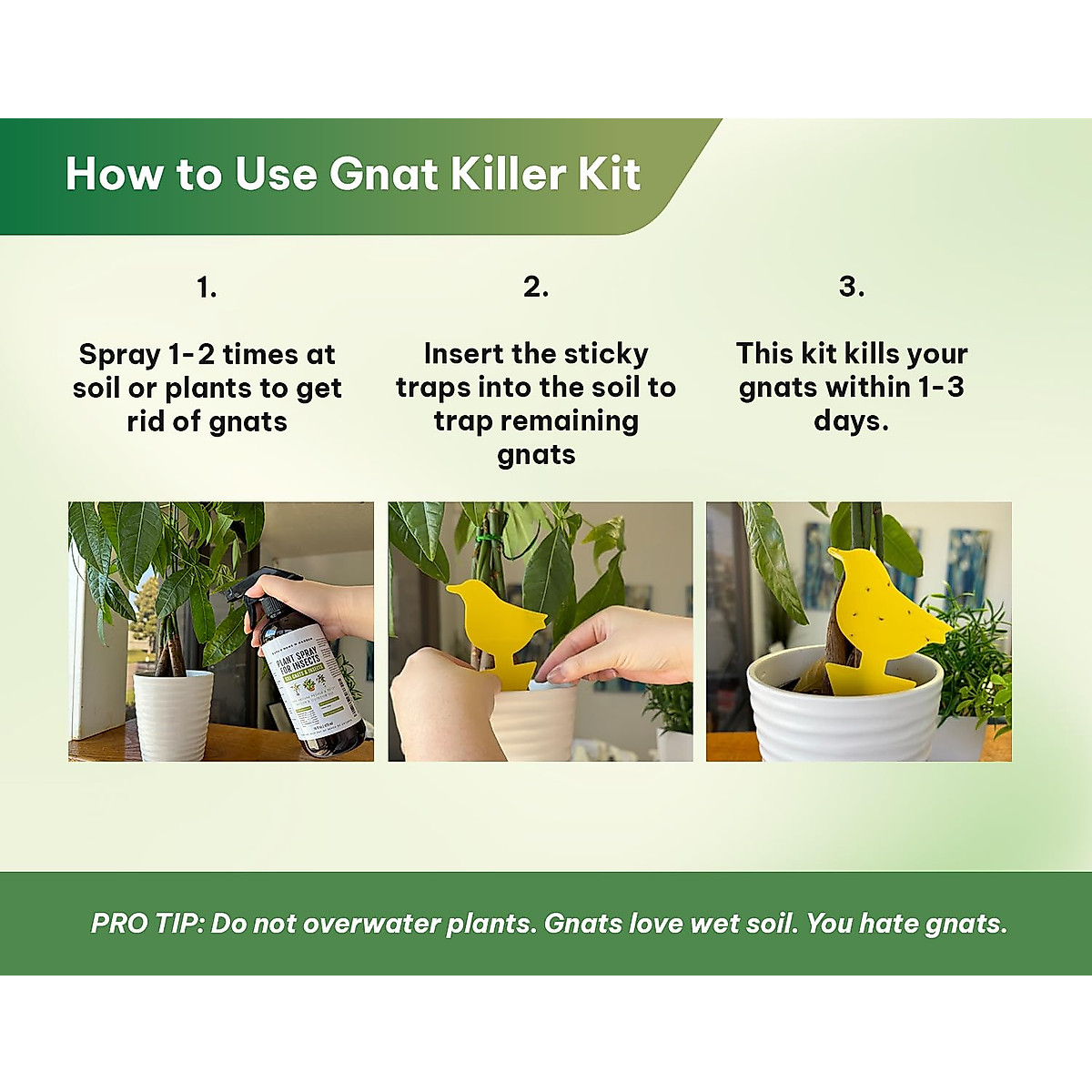 Kate's Home & Garden Plant Spray for Insects & Getting Rid of Gnats with 12 Gnat Sticky Traps. Fungus Gnat Killer & Gnat Control for Indoor Plants (16oz, Pet Safe, Non Toxic)