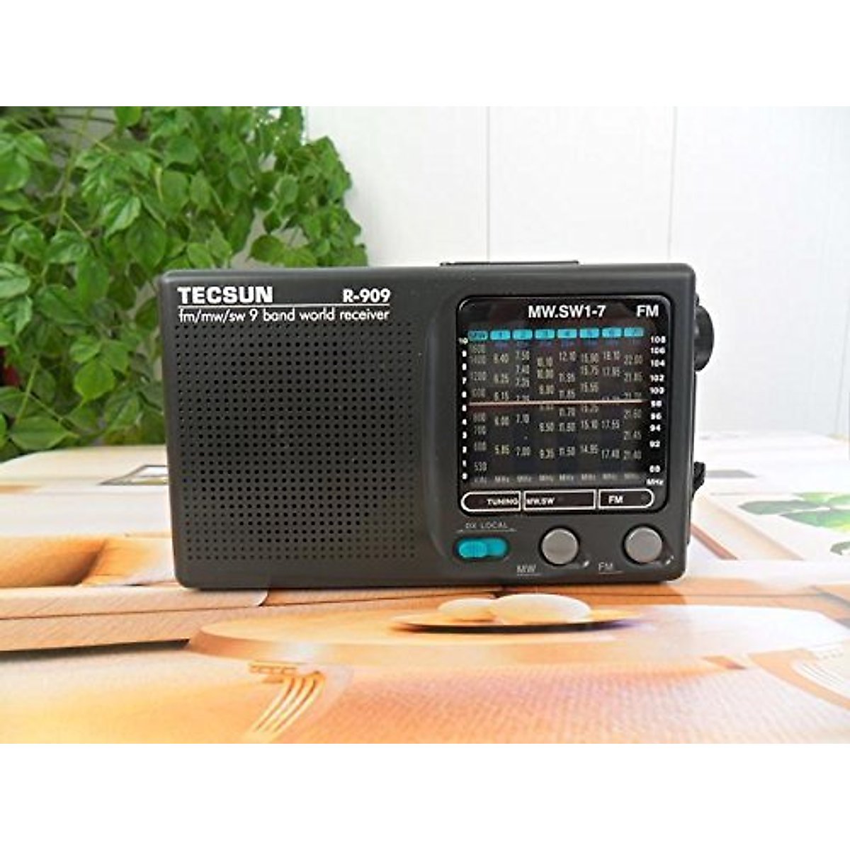 TECSUN R-909 AM/FM/SM/MW (9 Bands) Multi Bands Radio Receiver Broadcast with Built-in Speaker