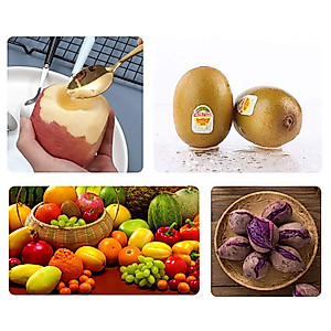 Goeielewe Set of 6 Grapefruit Spoons with Round Serrated Edges, Stainless Steel Serrated Spoon with Multicolor Ceramic Handle, Kiwi Apple Citrus Fruit, Dessert Spoon Sets (Silver)