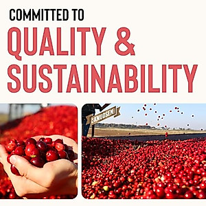 R.W. Knudsen Organic Just Cranberry Juice, 32 fl oz (Pack of 1)