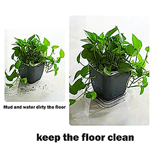 UltraOutlet 20 Pack Square Plant Saucer Plant Trays for Pots 12 Inch Plant Saucers for Outdoors and Indoor Clear Plant Pot Saucers Flower Pot Saucers to Catch Water Drip Tray (20, 12 in)