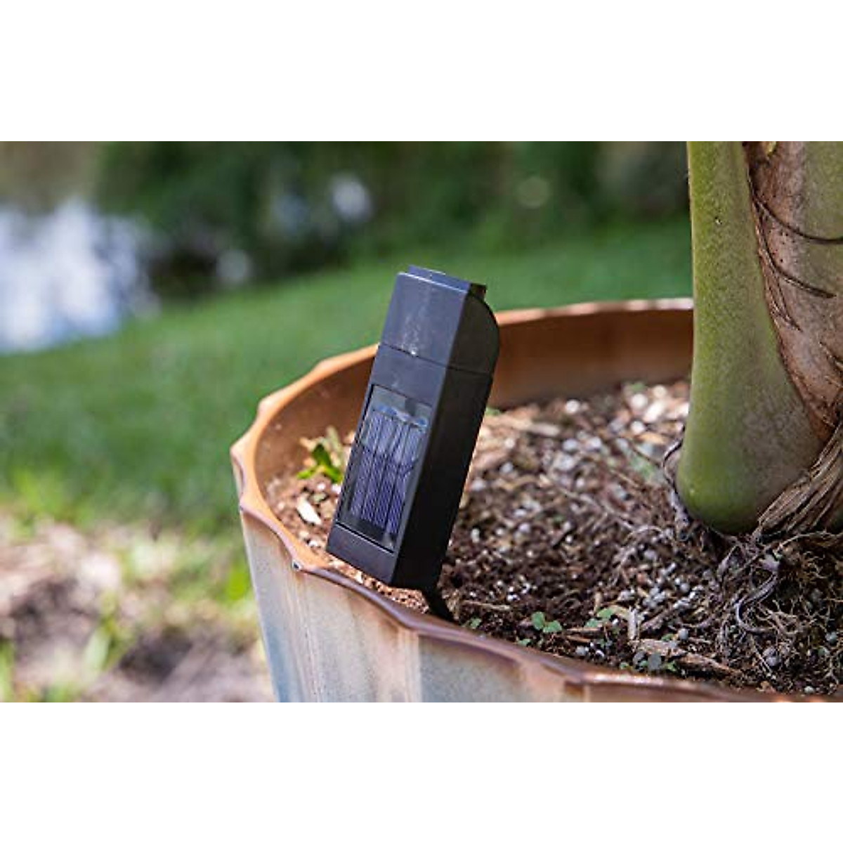 Kenroy Home 60650 Plant Solar Lighting, Small, Black