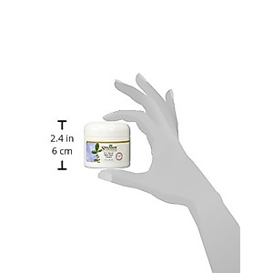 Swanson Wild Yam Cream - Formula for Women Promoting Perimenopause & Menopause Support - Women's Health Balm w/No Parabens for Comfort & Wellness - (2 fl. oz. Jar)