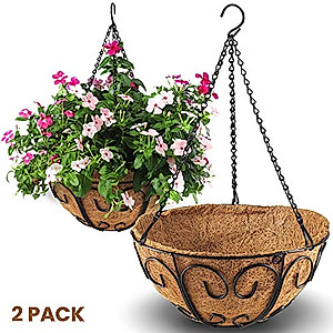 CABASAA 2 Pack Metal Hanging Planter Basket with Coco Coir Liner Chain Round Wire Plant Holder Flower Pots Hanger Garden Decoration Porch Decor Watering Hanging Baskets Indoor Outdoor (12 INCH New)