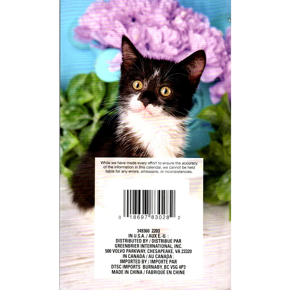 Paper Craft Kittens 2023 - 2024 2 Year Pocket Planner / Inspirations Calendar / Organizer - Monthly Page Format, multi