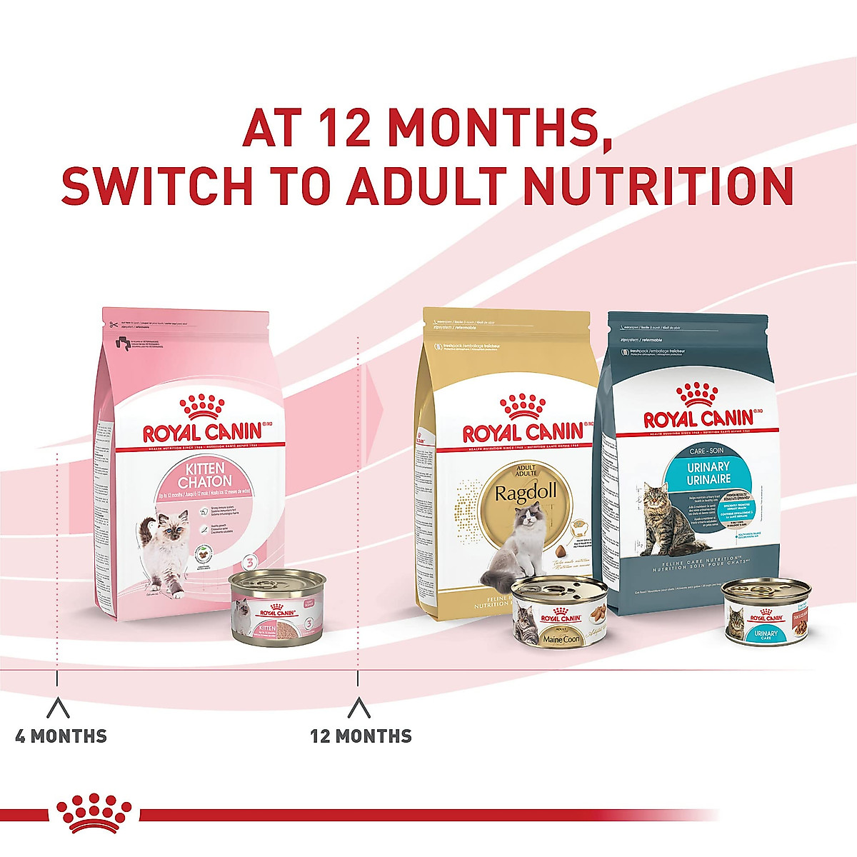 Royal Canin Feline Health Nutrition Kitten Loaf in Sauce Canned Cat Food, 5.1 oz can (24-count)