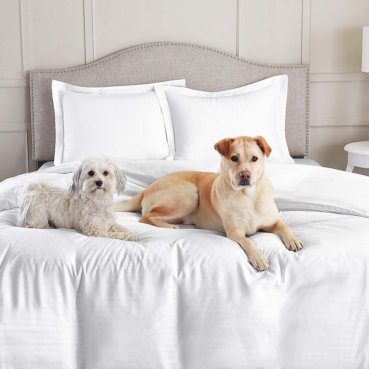 LaxLinen 500-Thread Count Egyptian Cotton Duvet Cover Set with Extra Pillow Sham, Queen Bed Size, White Solid 500TC 100% Pure Cotton