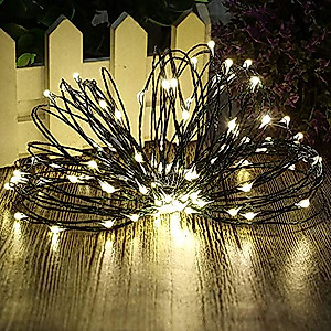 ER CHEN Dimmable LED String Lights Plug in, 66ft 200 LED Waterproof Fairy Lights with Remote, Indoor/Outdoor Copper Wire Christmas Lights for Bedroom, Patio, Garden, Yard (Green Wire, Warm White)