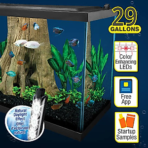 Tetra Complete LED Aquarium 29 Gallons, Includes LED Lighting, Filtration, Heater and Accessories