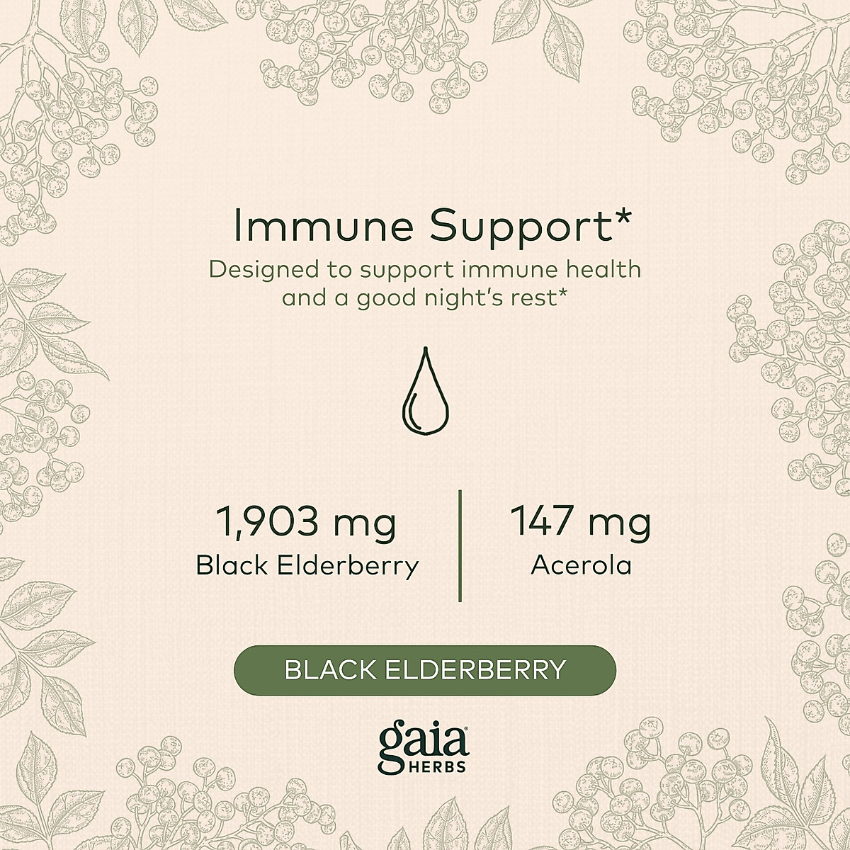 Gaia Herbs Black Elderberry, NightTime Syrup - Immune Support Supplement - With Organic Black Elderberries, California Poppy & Lemon Balm for Restful Sleep & Immune Defense - 5.4 Fl Oz (32-Day Supply)
