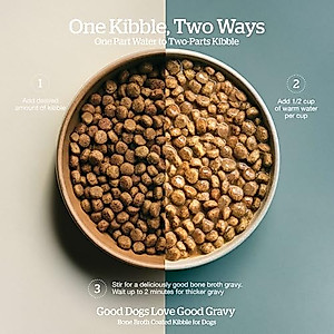 Now Fresh Good Gravy, Bone Broth Coated Kibble, Dry Dog Food, Salmon Adult Recipe with Grains, All Breed Size, 22 lb Bag