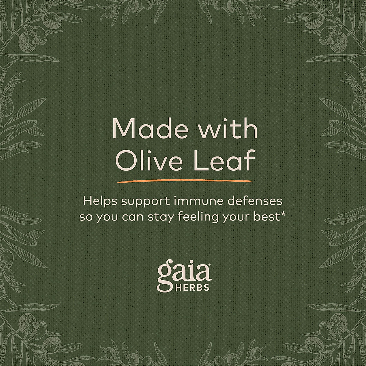 Gaia Herbs Olive Leaf - Traditional Immune Health Support - Immune System Supplement with Olive Leaf Extract and Oleuropein - 120 Vegan Liquid Phyto-Caps