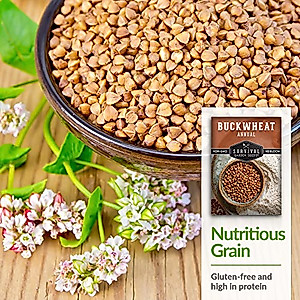 Survival Garden Seeds - Buckwheat Seed for Planting - Packet with Instructions to Plant and Grow a Cover Crop and Buckwheat Plants in Your Home Vegetable Garden - Non-GMO Heirloom Variety