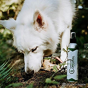 Cedarcide Original Bug Spray | Repel & Kill Fleas, Ticks, Mosquitoes, Mites, Ants & Chiggers | for use on People, Pets & Home | Natural Cedar Oil | Eco-Friendly | Gallon