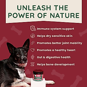 Premium Dog Multivitamin Supplement (170 Chews) - Mealtime Multi - with CoQ10 - Probiotics - Pumpkin - Immune Support - Promotes Better Joint Mobility - Healthy Skin & Coat - Made in The USA