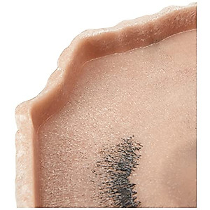 Zoo Med Reptile Rock Food Dish, Large, Colors May Vary