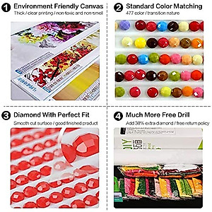Diamond Painting Kits for Adults-Diamond Art Kits for Adults,Gem Art Kits for Adults for Gift Home Wall Decor(12x16inch)