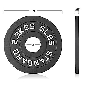 Philosophy Gym Standard Cast Iron Olympic 2-inch Weight Plate, 5 LB, Single Weight Plate