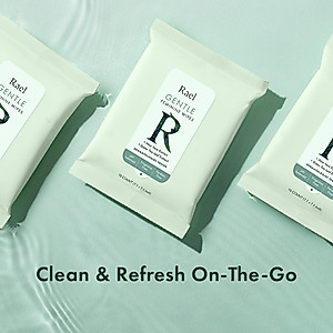Rael Feminine Wipes, Flushable Wipes pH Balanced - Travel Size, All Skin Types, Paraben Free, Daily Use (10 Count, Pack of 3)