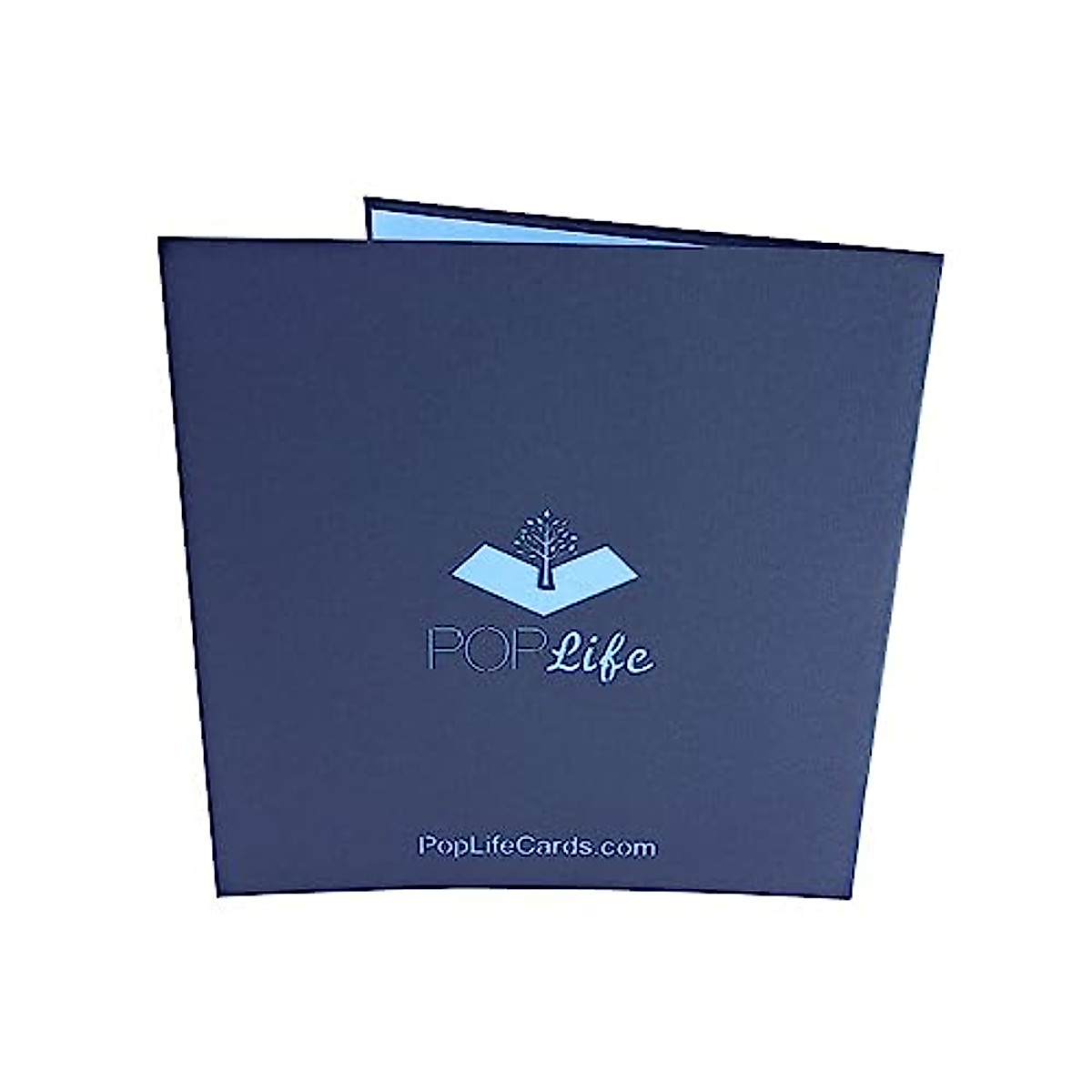 PopLife Norse Viking Ship 3D Pop Up Card for All Occasions - Happy Anniversary Pop Up Father's Day Card, Pop Up Birthday Card for Men, Retirement Card - for Dad, for Husband, for Son, for Grandpa