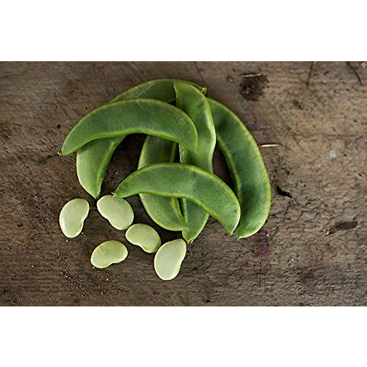 David's Garden Seeds Bean Lima Pole King of The Garden 6789 (White) 25 Non-GMO, Heirloom Seeds