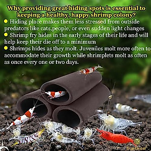 SunGrow Betta & Shrimp Ceramic Shelters, 2.8 x 1.8 x 0.6 Inches, Small Reptile & Lizard Hiding Cave Connected Tubes, Aquarium Decor