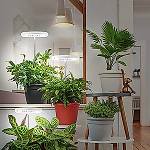 eWonLife Grow Lights for Indoor Plants, Plant Lamp Full Spectrum for Growing, 2 Pack, Height Adjustable with 3/9/12H Auto Timer, 3 Spectrum Modes with 72 LEDs
