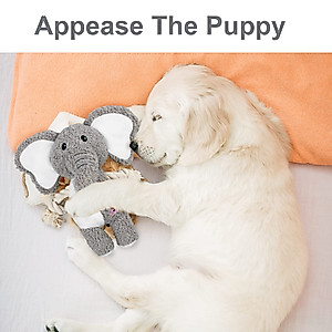 PAZ'S GIFT Dog Toys Cute Plush Elephant and pet Interaction Pulling, Soothing, Companionship, Sturdy Indoor Puppy Toys, Dog Squeaky Toys, Puppy, or Small, Medium Dog Teething or chew Toys