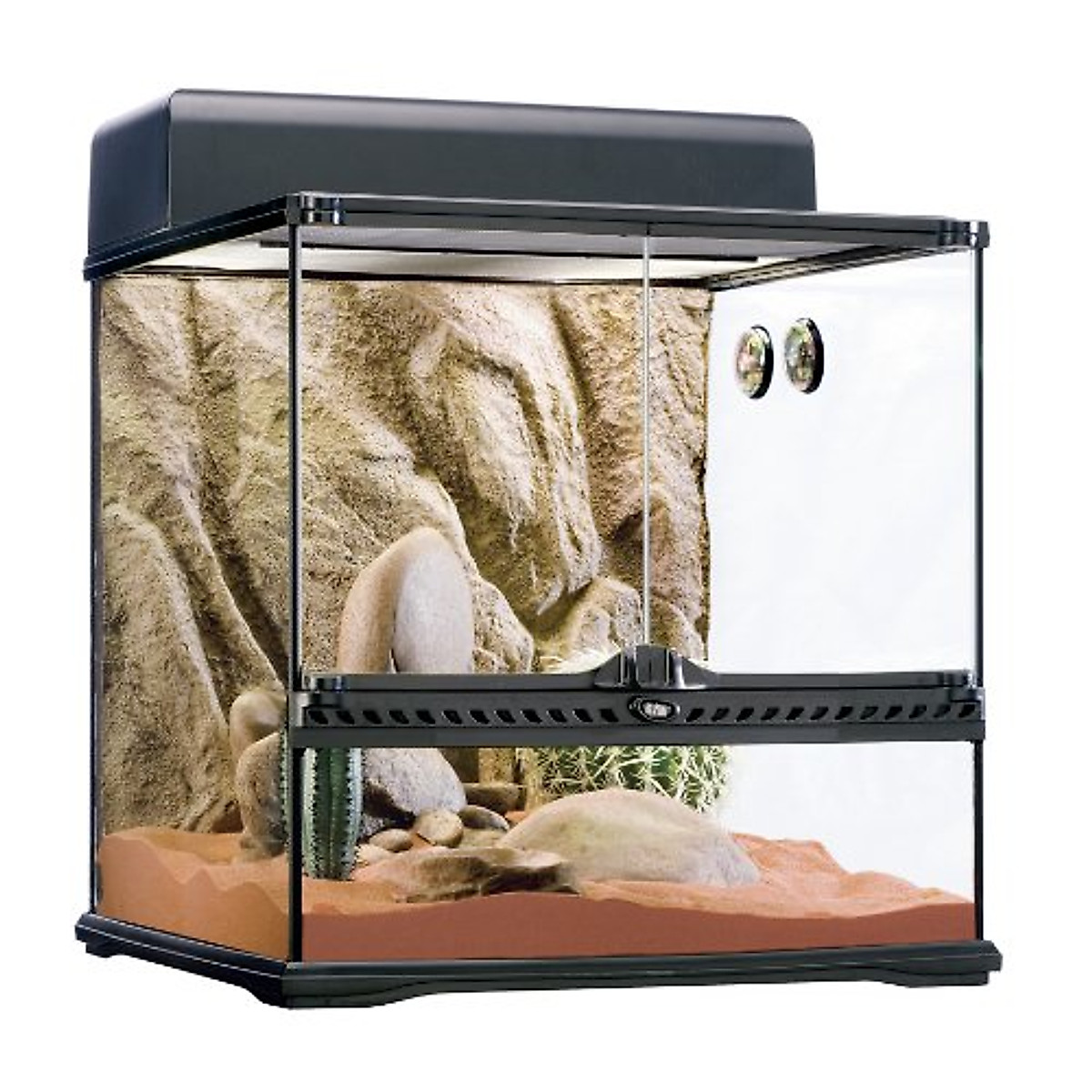 Exo Terra Desert Habitat Kit, Reptile Terrarium Starter Kit, Medium, PT2652A1