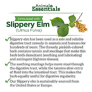 Animal Essentials Colon Rescue Herbal GI Support for Dogs & Cats, 2 fl oz - Made in USA Digestive Aid, Phytomucil Blend