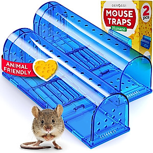 Humane Mouse Traps for Indoor, Home & Outdoor - Pack of 2 Reusable, Catch and Release Mouse Mice Traps - No Kill, Easy Set, Safe for Your Kids & Pets - Instantly Remove Unwanted Rodents from Your Home