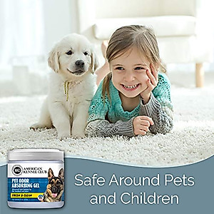 SMELLS BEGONE Pet Odor Absorber Gel - Air Freshener & Odor Eliminator - Made with Essential Oils - Fresh & Clean Scent - 15 Ounce