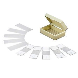 AmScope PB10 10 PC Prepared and Blank Microscope Glass Slides