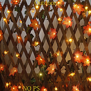 Xingpold Fall Decor Solar Pumpkin Maple Leaf String Lights Outdoor, 50LED 30ft Fall Garland with Lights Waterproof Pumpkin Lights for Thanksgiving Halloween Autumn Door Porch Home Garden Decorations