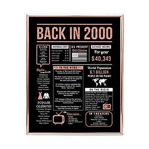 Katie Doodle Rose Gold 23rd Birthday Decorations Anniversary Party Supplies Card Gifts for 23 Year Old Woman Her - Includes 8x10 Back in 1999 Print [Unframed], Rose Gold