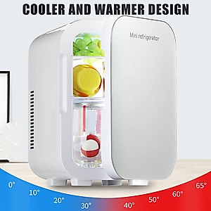 Mini Compact Fridge, 8 L Single Core Skincare Refrigerator Beauty Fridge with Mirror & Light Portable Cooler Warmer Refrigerator Fridge for Skincare, Makeup, Beverage