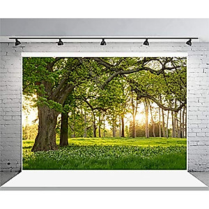 Leowefowa 7X5FT Spring Backdrop Rural Forest Trees Backdrops for Photography Blooming Flowers Green Grassland Nature Vinyl Photo Background Kids Adults Outdoor Travel Portraits Studio Props