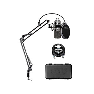 MXL 770 Cardioid Condenser Microphone for Piano, Guitar, String Instruments, and Vocal Recording (Silver) Bundle with Blucoil Boom Arm Plus Pop Filter, and 10-FT Balanced XLR Cable