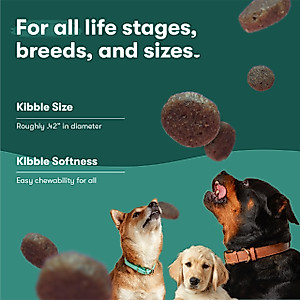 Beef, Brown Rice & Sweet Potato Dry Dog Food, 4 lb. Bag HIGH Protein from Real Beef BIOTIN and Fish Oil Prevent Against Dry Skin and Aid in Healthy Muscle Generation.