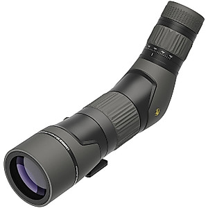 Leupold SX-2 Alpine HD 20-60x60mm Angled Spotting Scope in Shadow Gray Finish